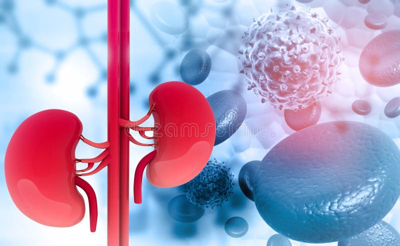Rene Umano Con La Struttura Del DNA Illustrazione di Stock ...