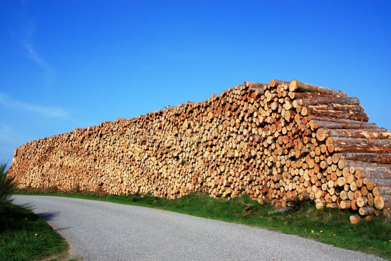 Renewable Energy stock image. Image of lumber, forestry - 9546393