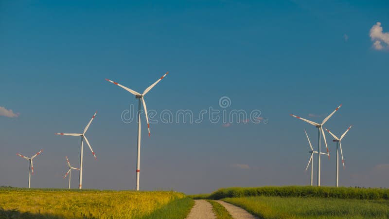 Renewable Energy.Ripe Wheat and Windmills.Wind Energy.Wind Generators ...