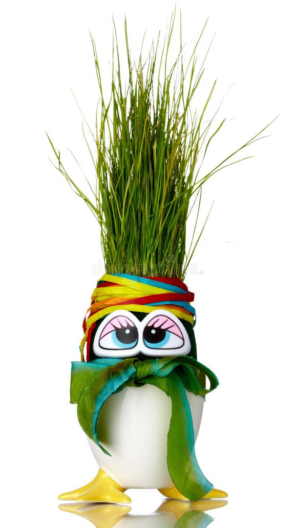 Renewable Grass Easter Egg stock photo. Image of orange - 9027140
