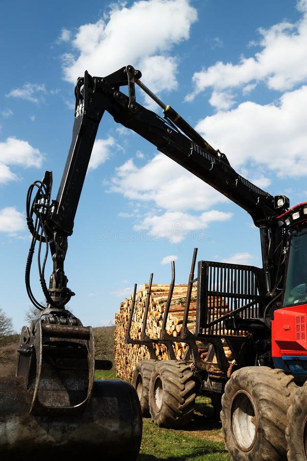 Renewable Resources Lumber stock image. Image of loader - 16531117