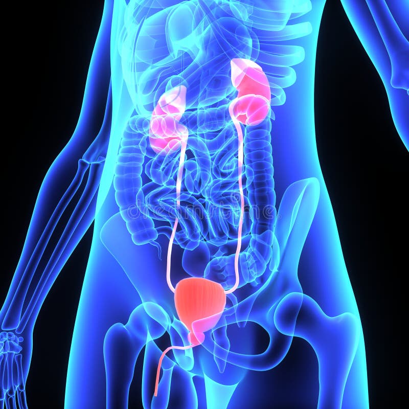 Reni illustrazione di stock. Illustrazione di cura, sfondo - 48739430
