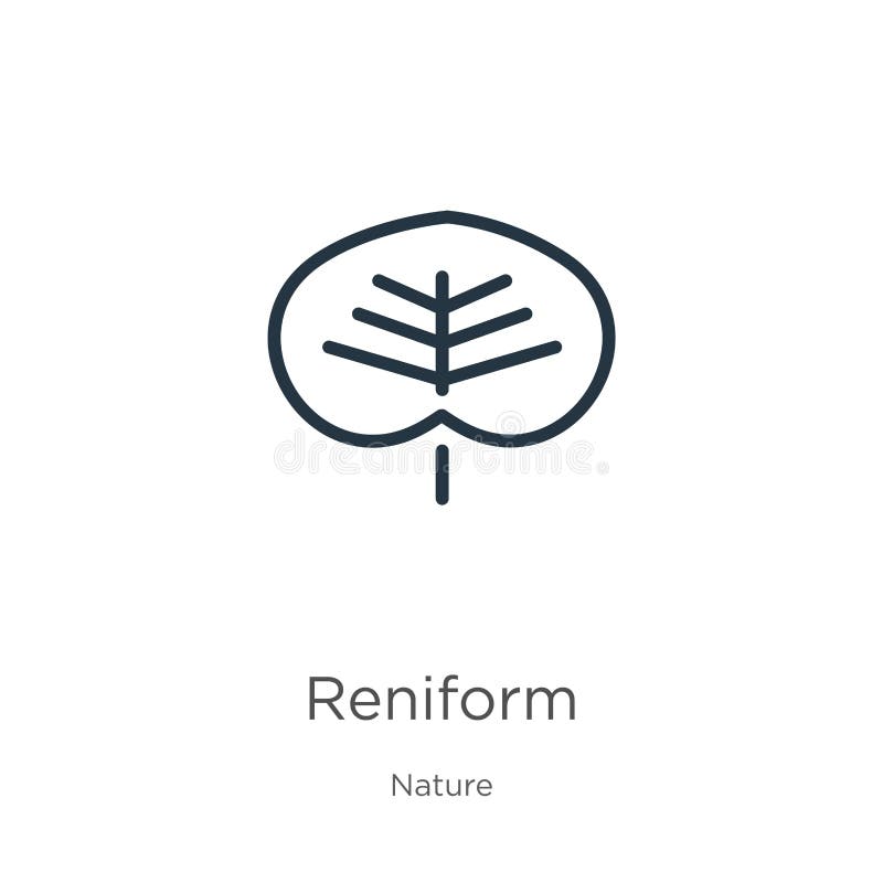 Reniform Vector Stock Illustrations – 41 Reniform Vector Stock ...