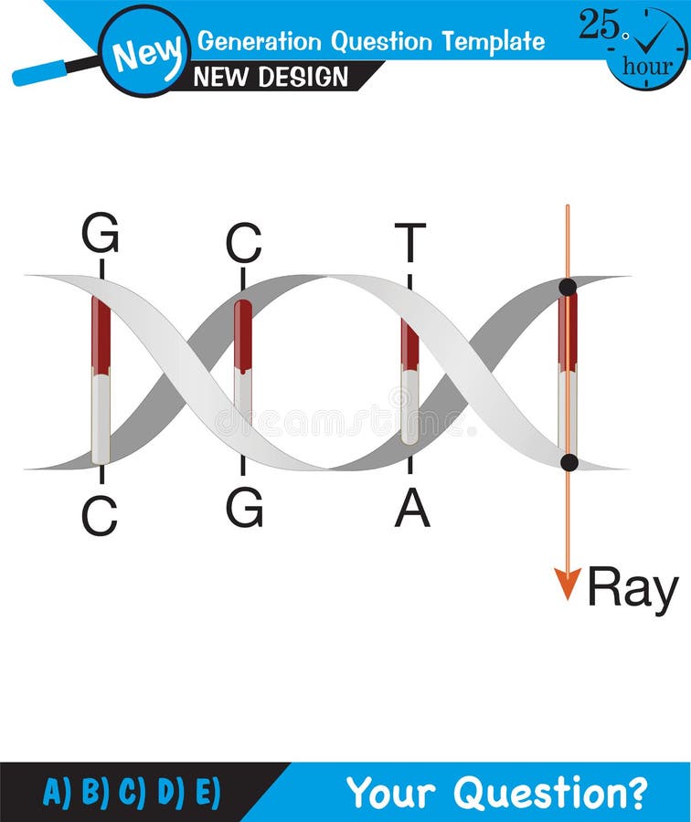 Biology - DNA Helix, DNA Replication, Next Generation Question Template ...