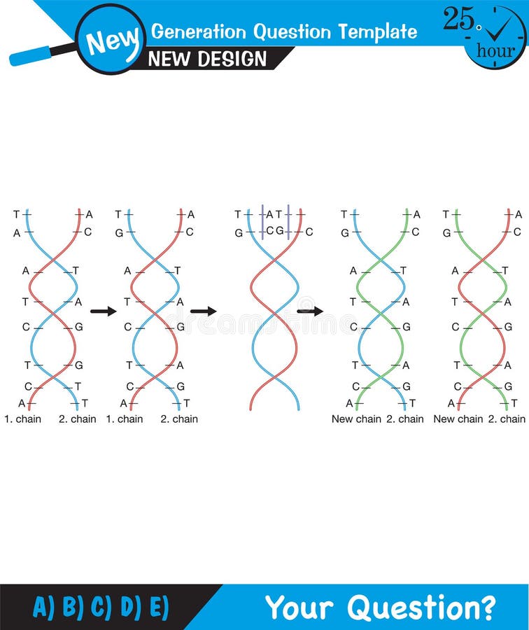 Biology - DNA Helix, DNA Replication, Next Generation Question Template ...