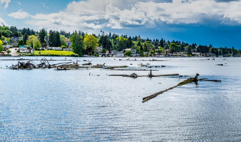 Renton Lake Waterfront Homes 5 Stock Photo - Image of architecture ...