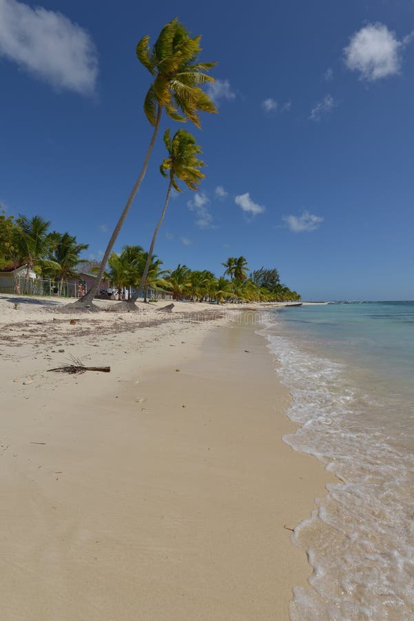 República Dominicana, Isla De Saona Imagen de archivo editorial ...