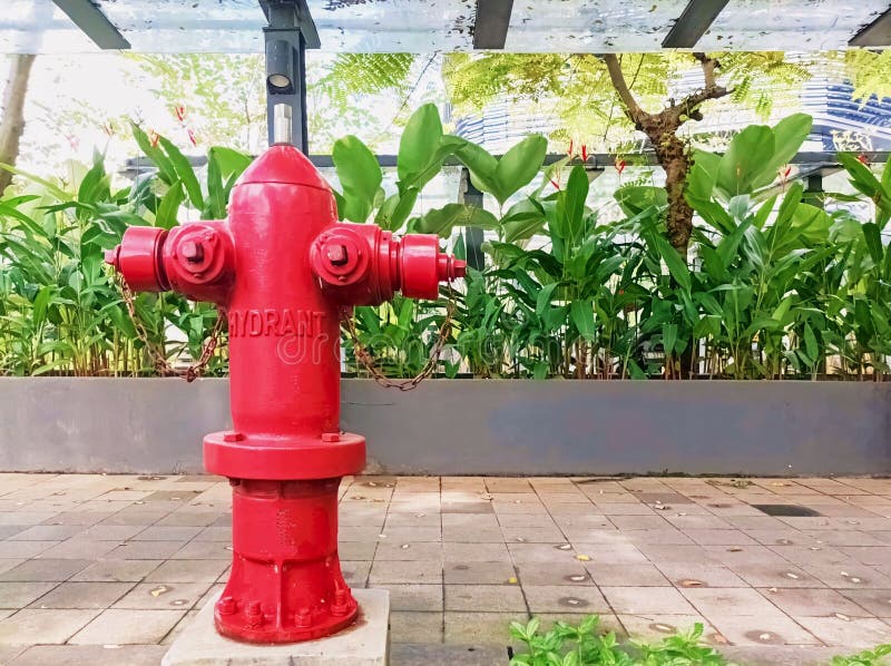 Repainting and Maintenance Red Fire Hydrants Stock Image - Image of ...