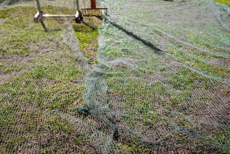 Repair Work on a Compost Grass Land Stock Image - Image of rake, plant ...