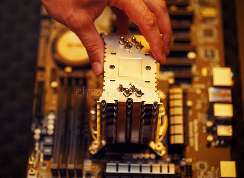 Repairman Repairs the Computer, Removing the Computer Motherboard Stock ...