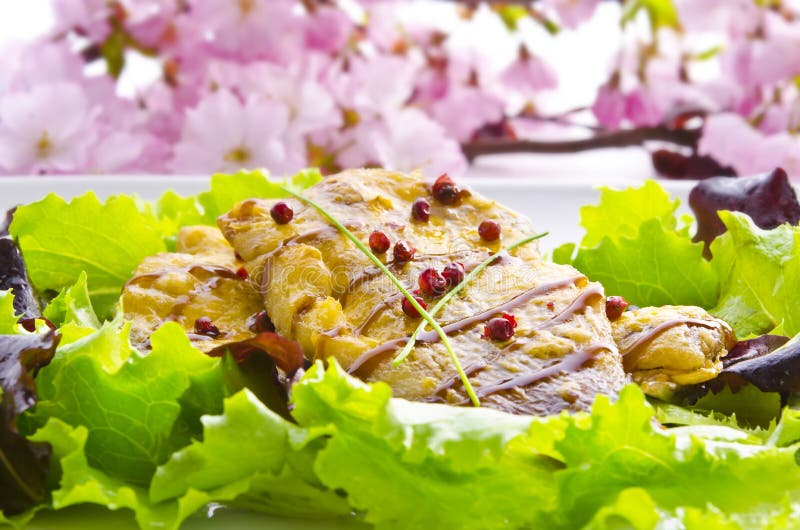 Repas Sain De Plat De Poisson Image stock - Image du vinaigre, laitue ...