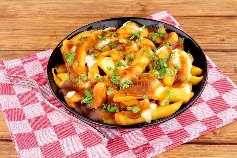 Repas Traditionnel De Poutine De Canadien Photo stock - Image du ...