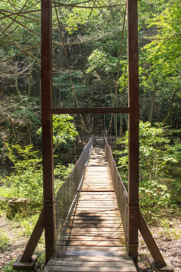 Repbro och flod fotografering för bildbyråer. Bild av kors - 56657167