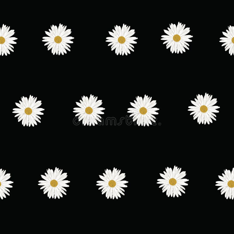 Repeat Daisy Flower Pattern with Black Background. Seamless Floral ...