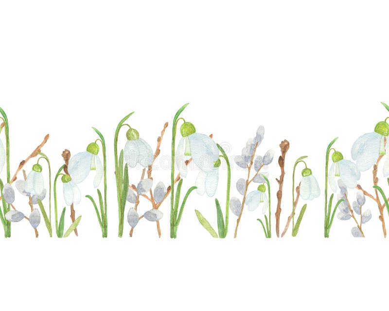Border Snowdrops Stock Illustrations – 425 Border Snowdrops Stock ...