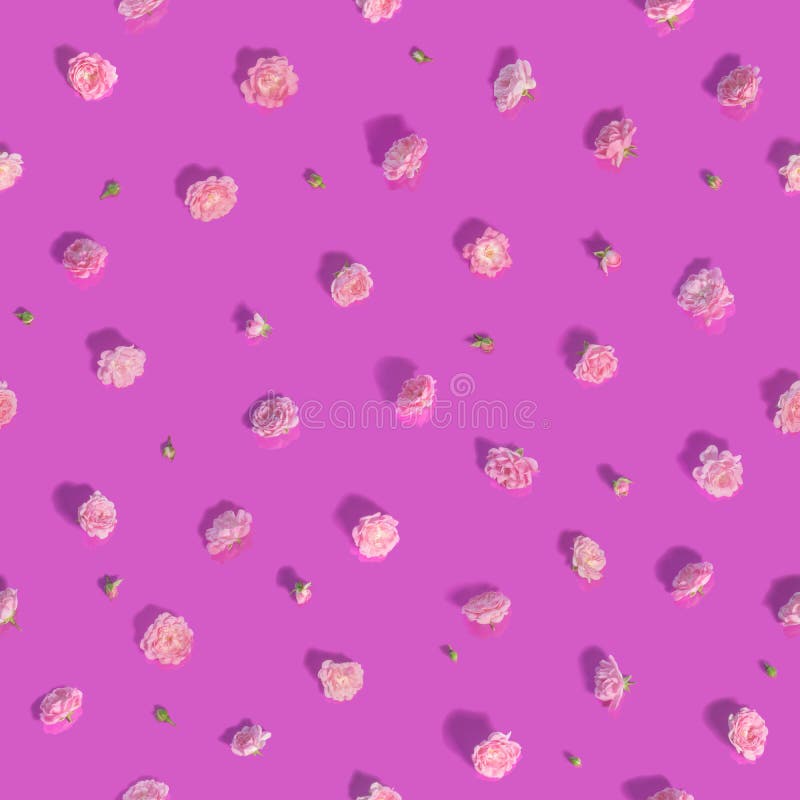 Repeatable Pink Roses with Shadow and Reflection Stock Illustration ...