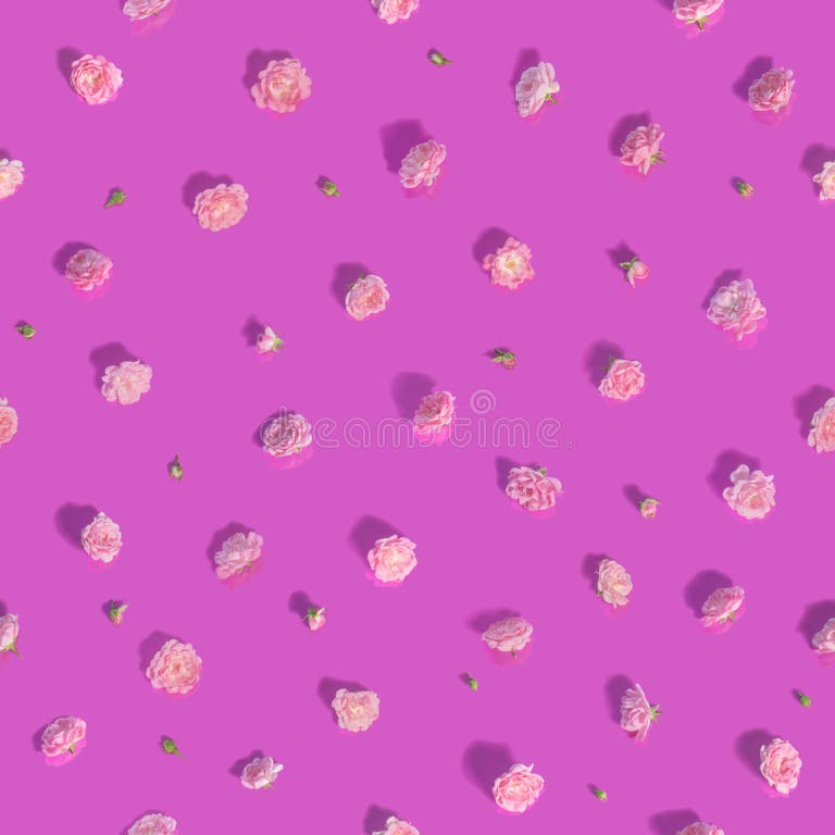 Repeatable Pink Roses with Shadow and Reflection Stock Illustration ...