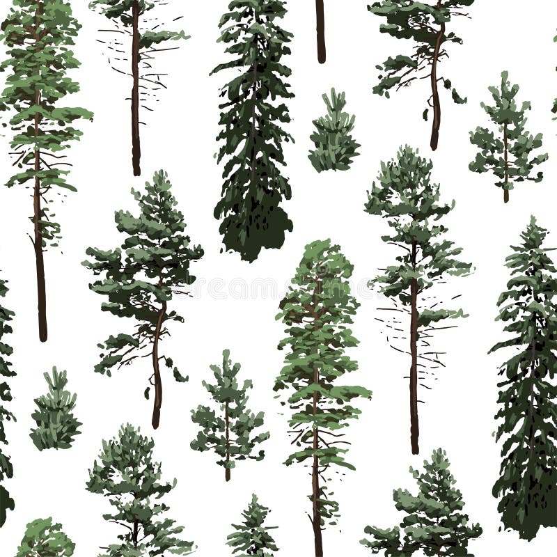 Repeated Seamless Pattern of Various Coniferous Trees. Stock Vector ...