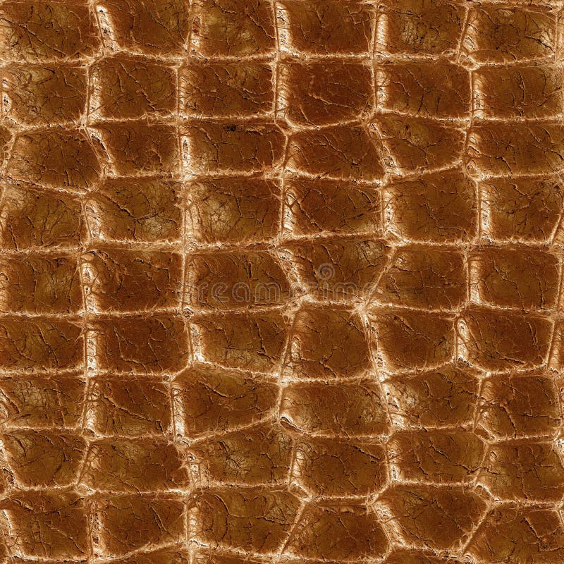 Repeating Crocodile Skin Pattern Stock Illustration - Illustration of ...