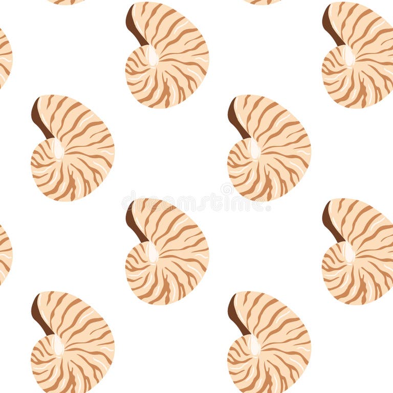 Pattern of Nautilus Shells on a White Background for Decorative Design ...