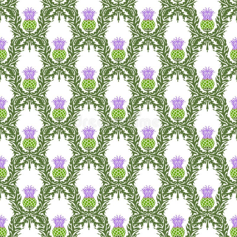 Thistle Symbol of Scotland on White Stock Vector - Illustration of ...