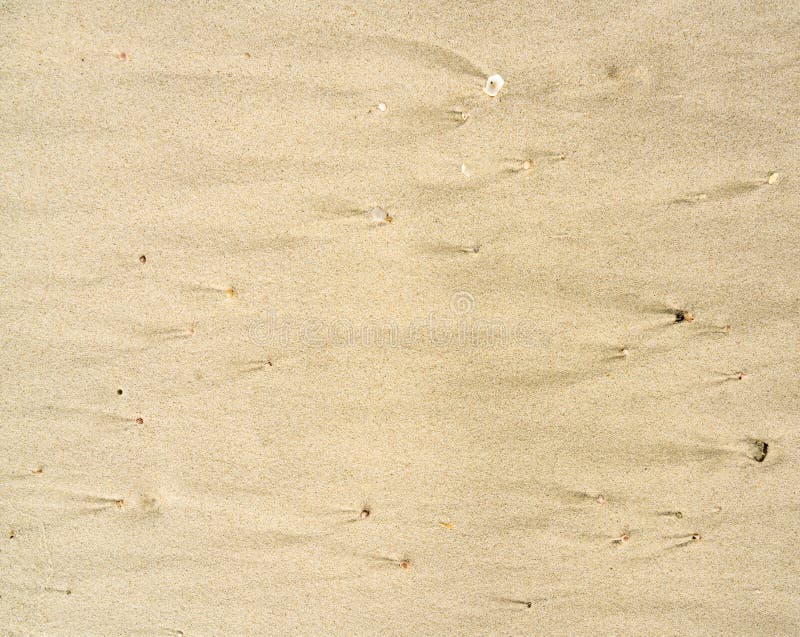 Repeating Patterns in Sand 1 Stock Photo - Image of decorative, close ...