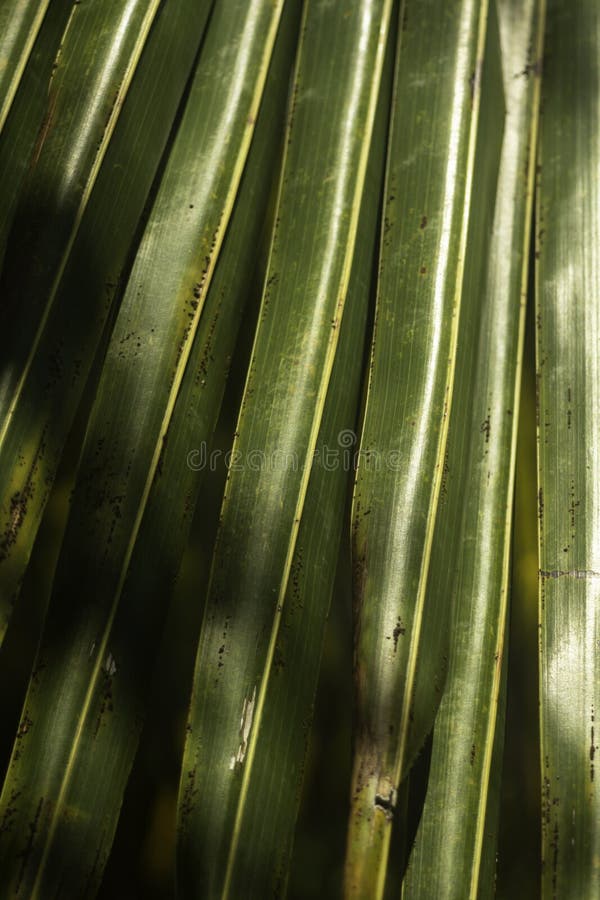 Repetitive patterns stock photo. Image of shapes, plastic - 24872932