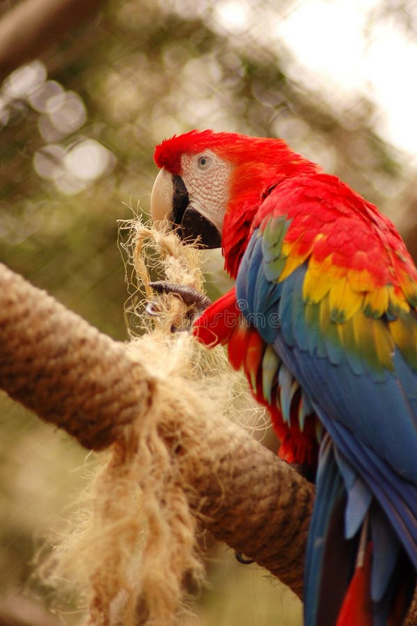 Repita mecánicamente #2 imagen de archivo. Imagen de colorido - 191907