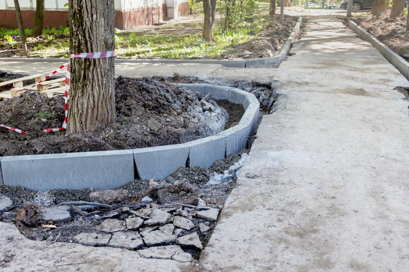 Replacing Old Curbs with New Concrete Curbs Around Trees on Public ...