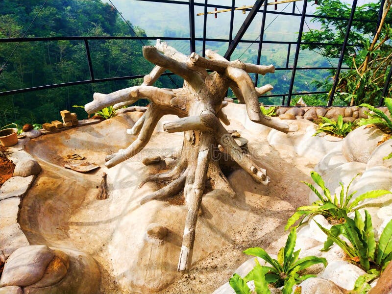 Replica of Dry Wood in a Koi Pond Stock Photo - Image of wood, replica ...