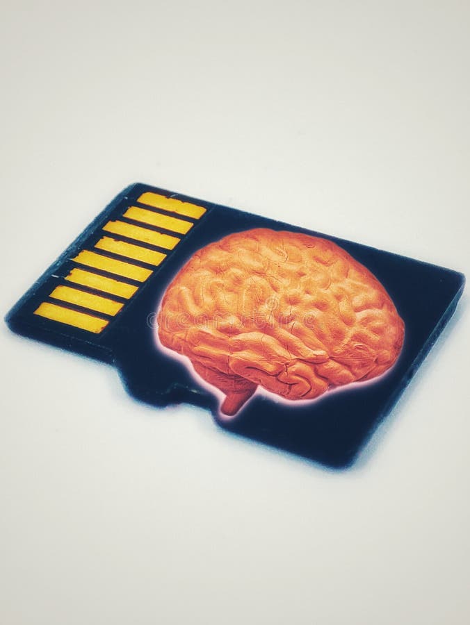 2,642 Human Brain Black Background Stock Photos - Free & Royalty-Free ...