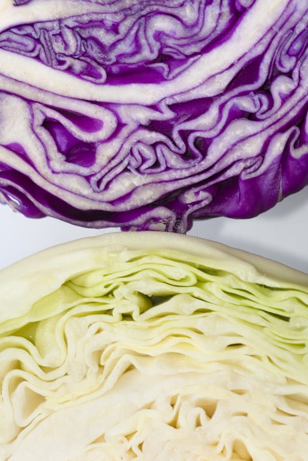 Repolho branco e roxo foto de stock. Imagem de roxo, dieta - 13322938