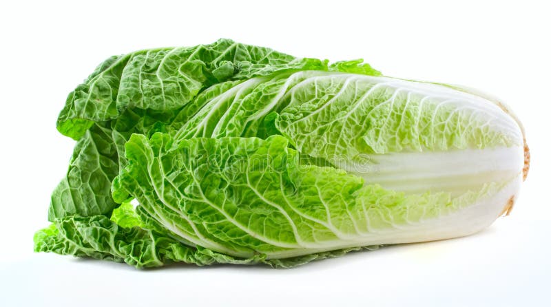 Repolho chinês imagem de stock. Imagem de vitamina, verdes - 15906967
