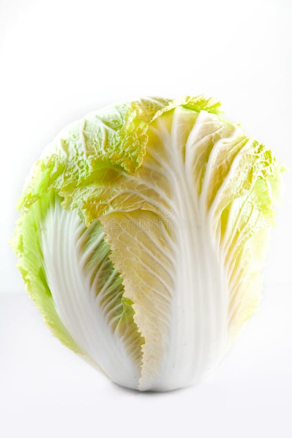 Repolho chinês imagem de stock. Imagem de alimento, closeup - 21045307