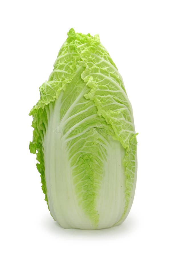 Repolho chinês imagem de stock. Imagem de estrutura, prancha - 24561735
