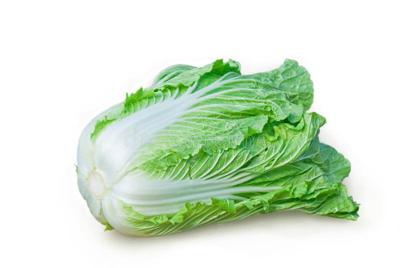 Repolho chinês foto de stock. Imagem de naughty, chinês - 7173470