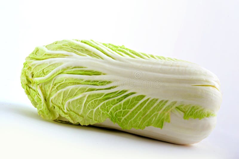 Repolho chinês foto de stock. Imagem de chinês, frescor - 8499784
