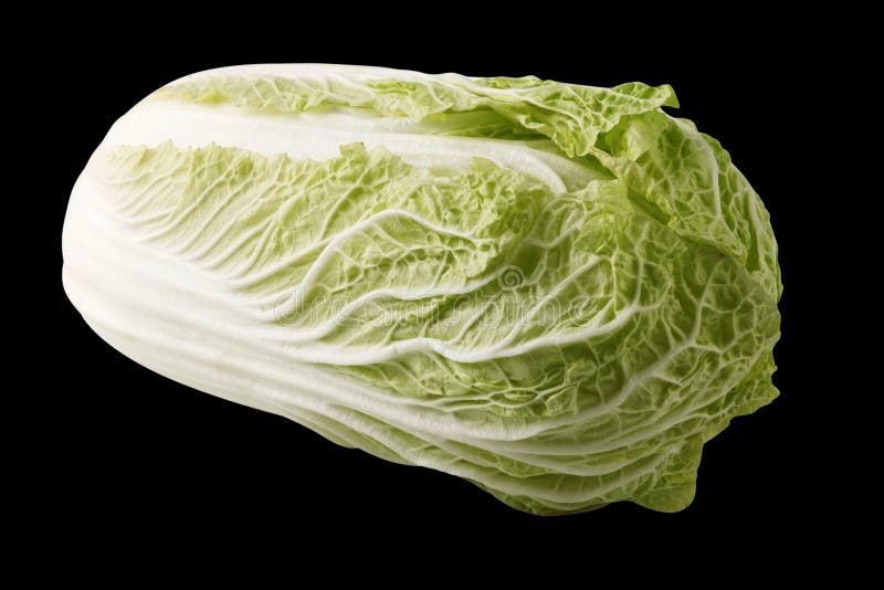 Repolho chinês isolado foto de stock. Imagem de alimento - 9730272