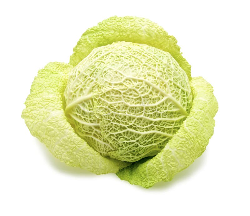 Repolho de Savoy imagem de stock. Imagem de folha, dieta - 11883293
