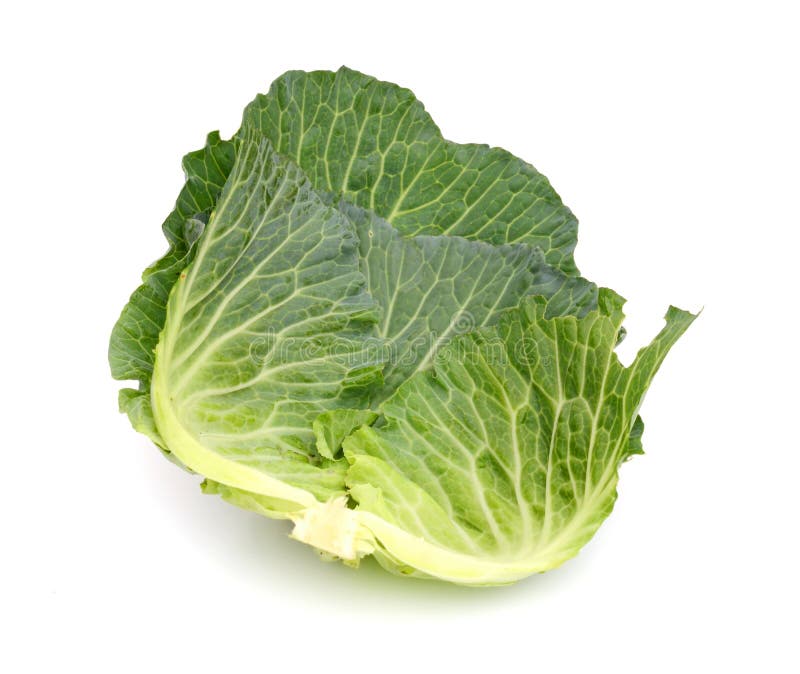 Repolho Verde No Fundo Branco Foto de Stock - Imagem de carboidrato ...