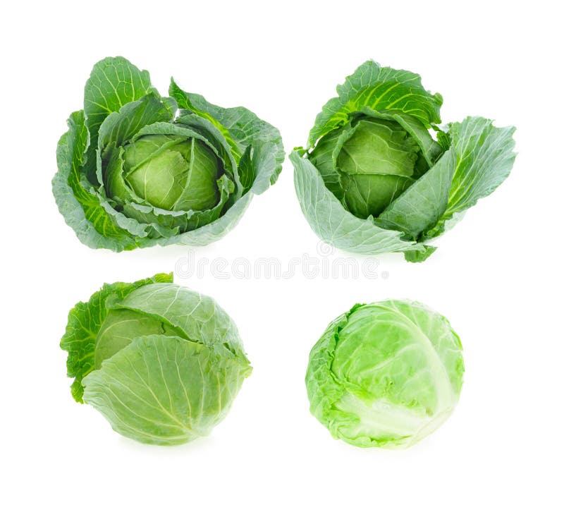 Repollo Aislado Sobre Fondo Blanco Foto de archivo - Imagen de hoja ...