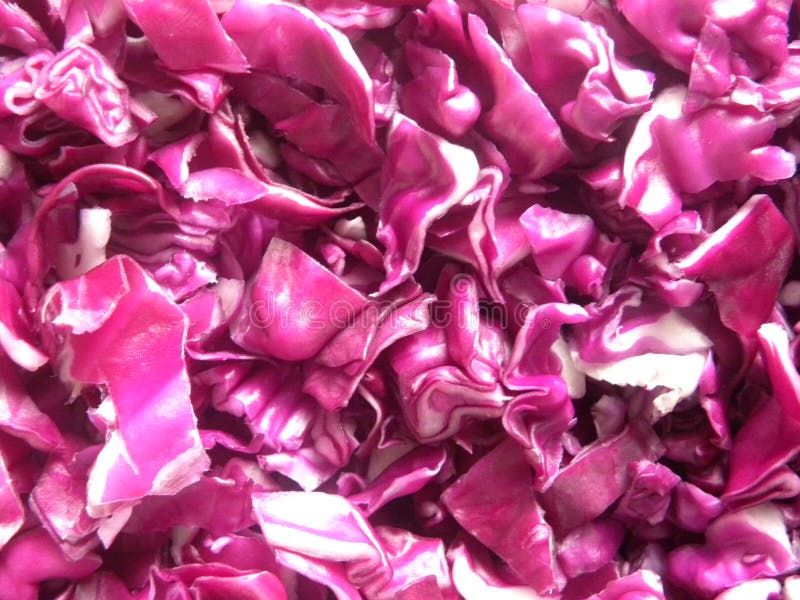 Repollo De Color Rojo Picado Imagen de archivo - Imagen de corte, fondo ...