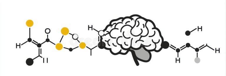 Caffeine Molecule Represented Inside a Brain Icon Illustrating Its ...