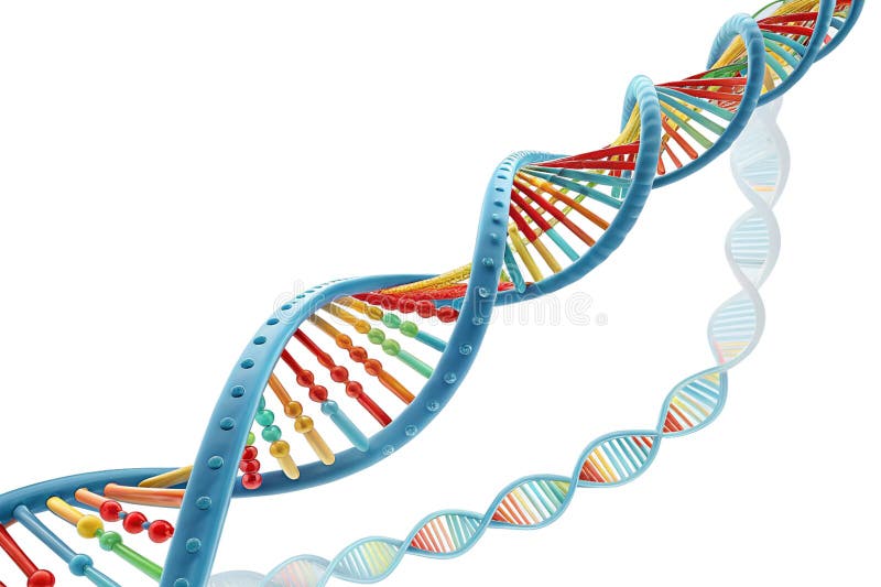Representation of Human Dna Chain Isolated White Background - Generated ...