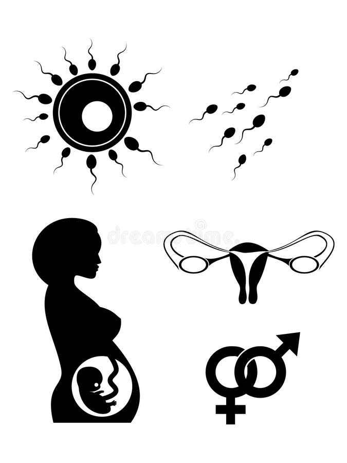 Reproduce vector symbols stock vector. Illustration of baby - 15528233