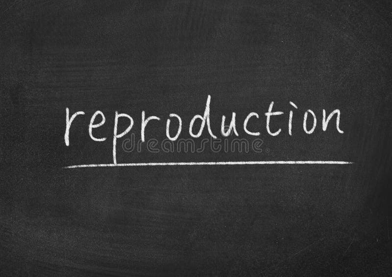 Reproduction Word Cloud Sphere Concept Stock Photo - Image of medicine ...