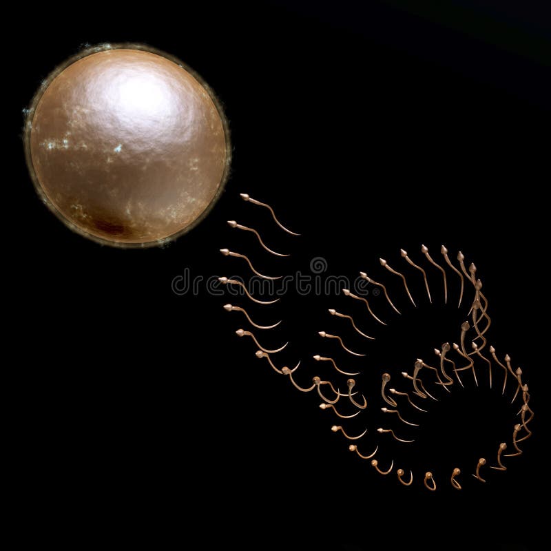 Reproduction stock illustration. Illustration of mating - 43451154