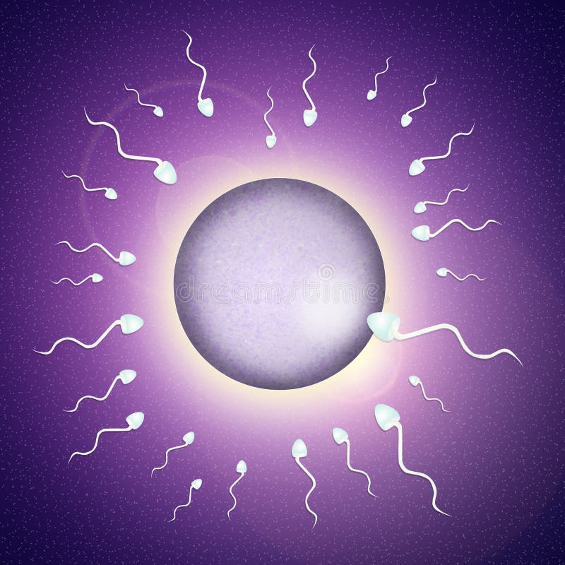 Assisted reproduction stock illustration. Illustration of ovulation ...