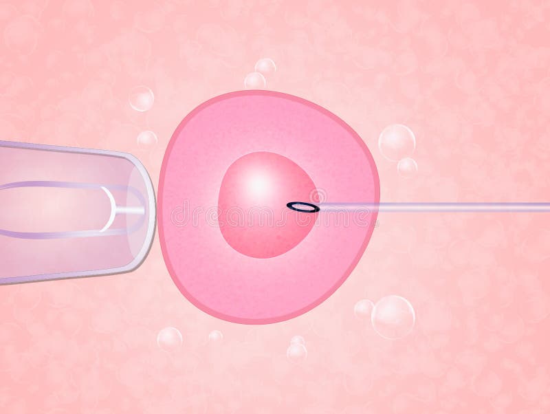 Assisted reproduction stock illustration. Illustration of ovulation ...