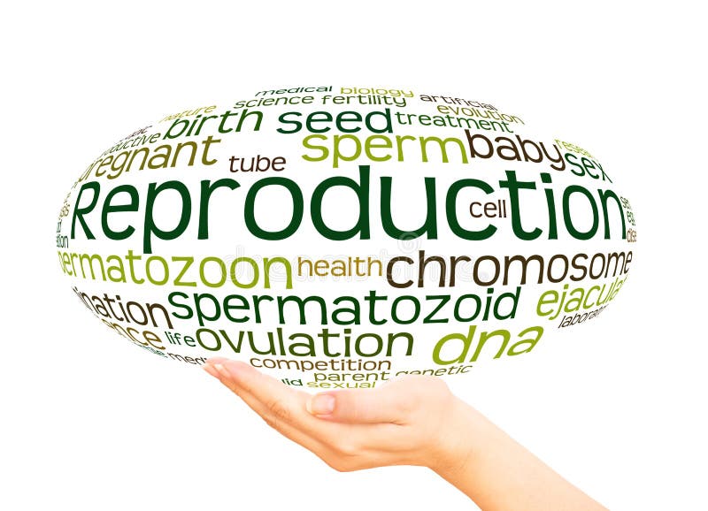 Reproduction Word Cloud Sphere Concept Stock Photo - Image of medicine ...